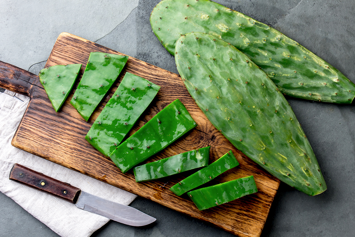Beneficios del extracto de cactus para la piel