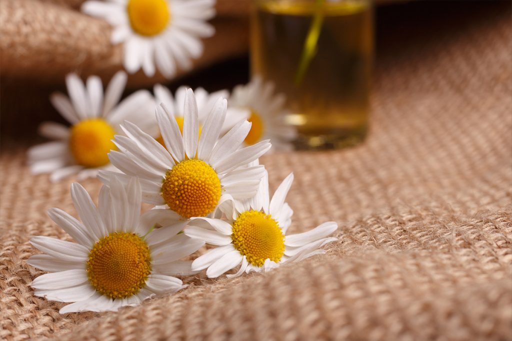 Bisabolol: qué es, propiedades y sus beneficios