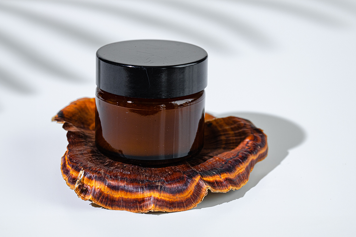 Qué es el reishi: usos, beneficios y propiedades