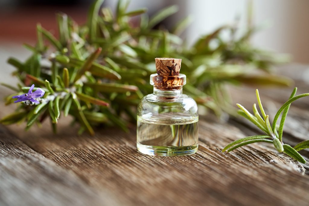 Aceite de romero: usos, beneficios y propiedades