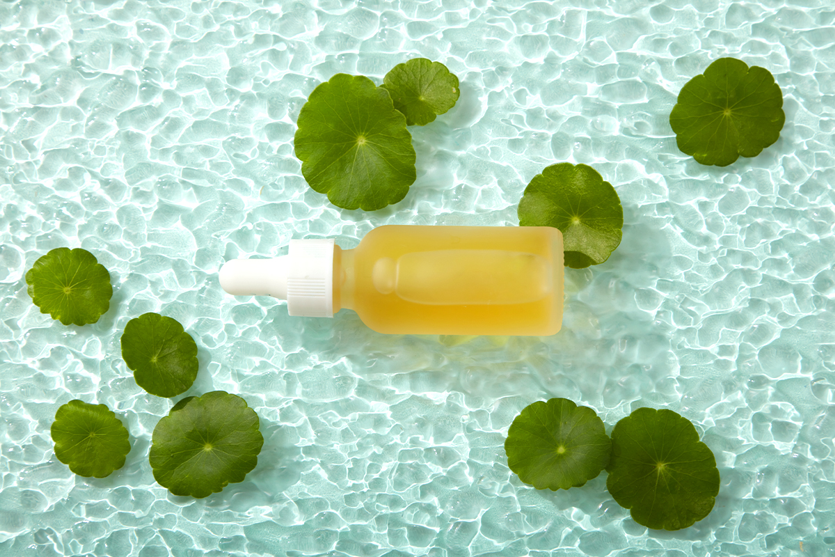 Qué hace la centella asiatica en la piel | Portugalessence.com