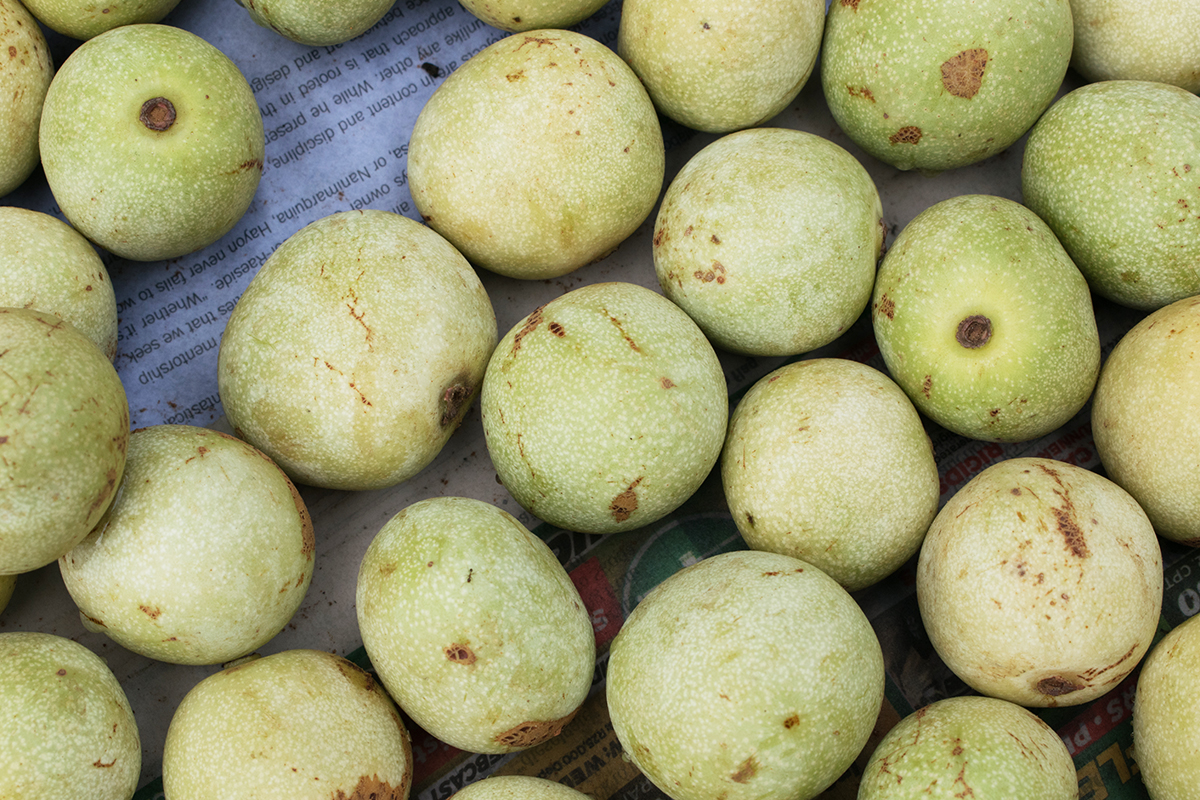Todas las propiedades y beneficos del aceite de marula para tu cabello ...