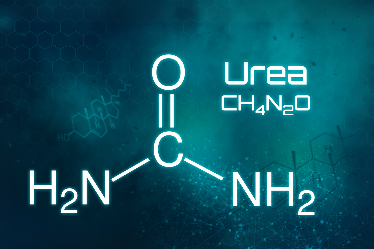 Urea: qué es y para qué sirve en cosmética