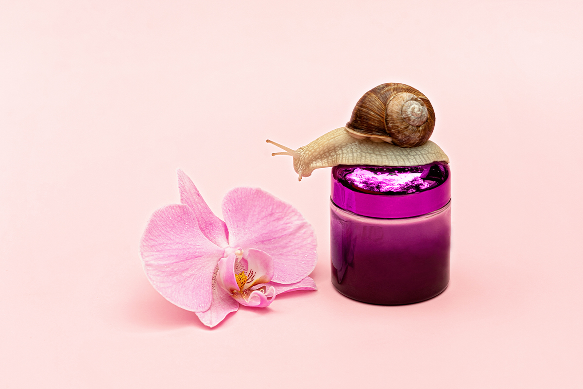 Mucina de caracol: qué es y beneficios del activo favorito de las K-Beauty