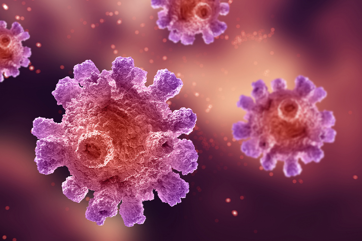 Células zombie: qué son y cómo nos hacen envejecer